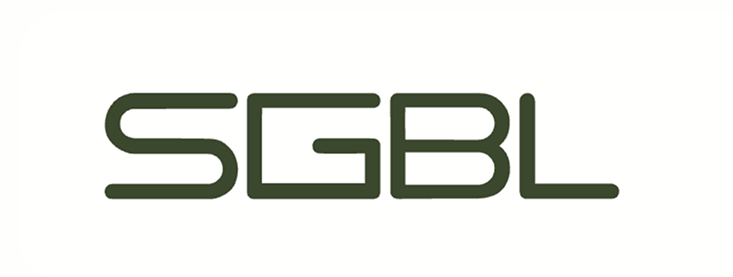 Empowering Growth with AI Automation Solutions